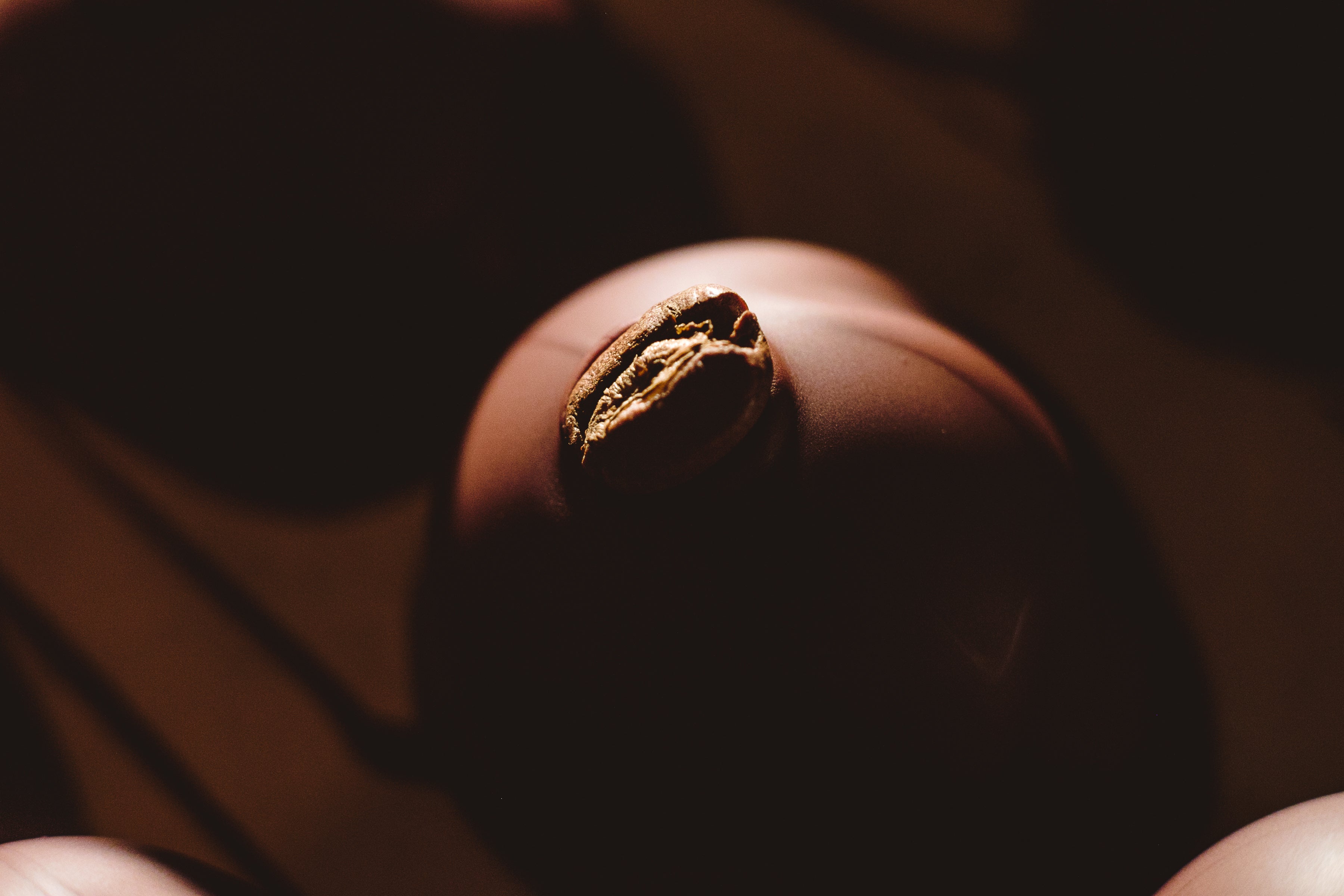 Twelve More Facts You Might Not Know About Chocolate (Part 2) – Legacy ...